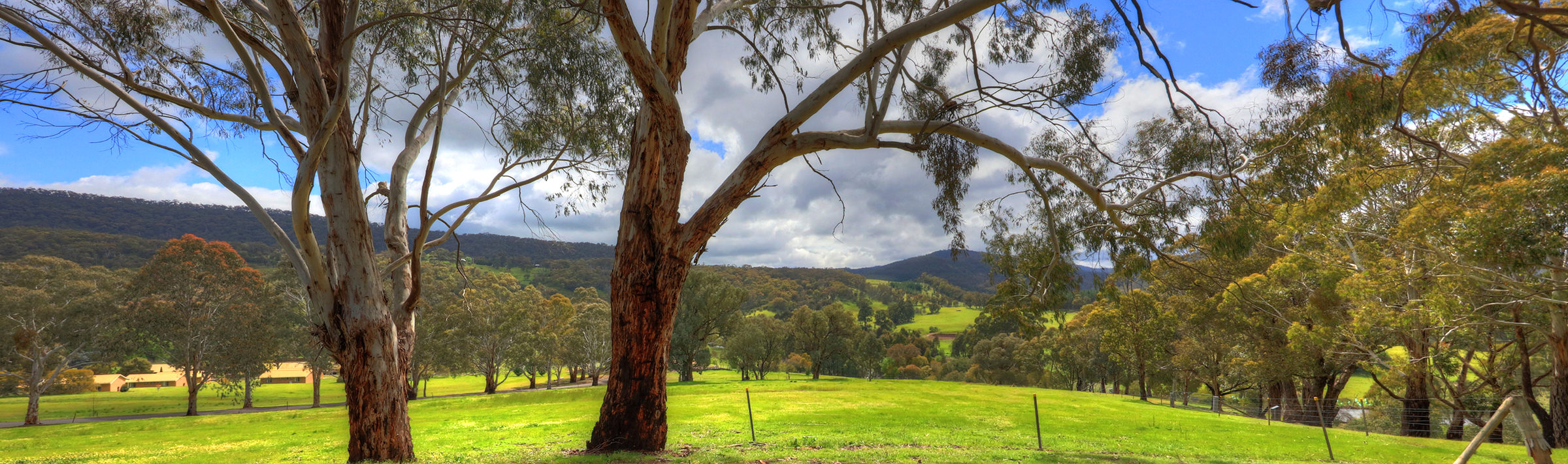 Gallery | Camp Howqua