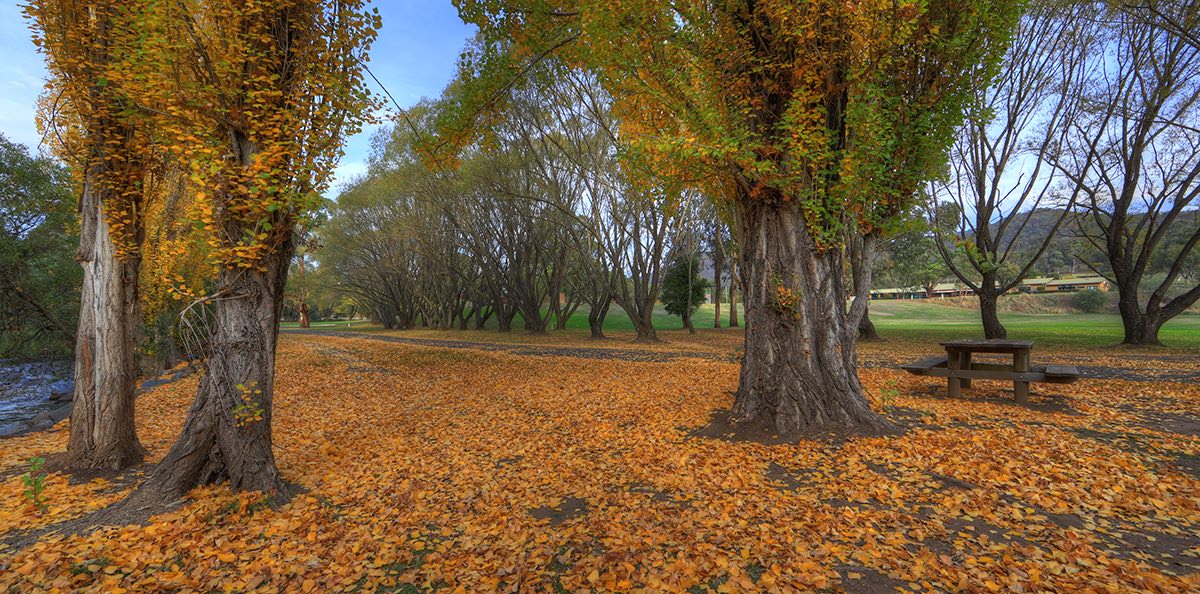 Our Facilities | Camp Howqua